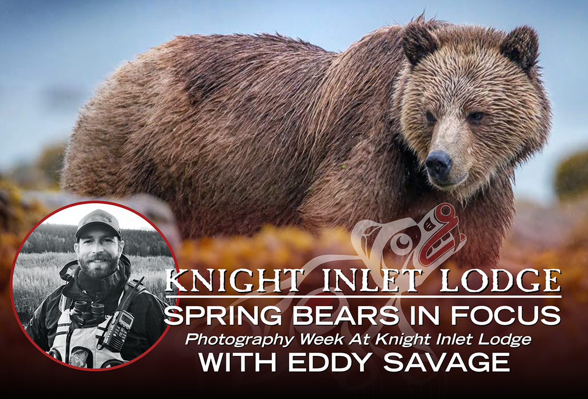 SPRING BEARS IN FOCUS - Photography Week At Knight Inlet Lodge - Knight Inlet Lodge